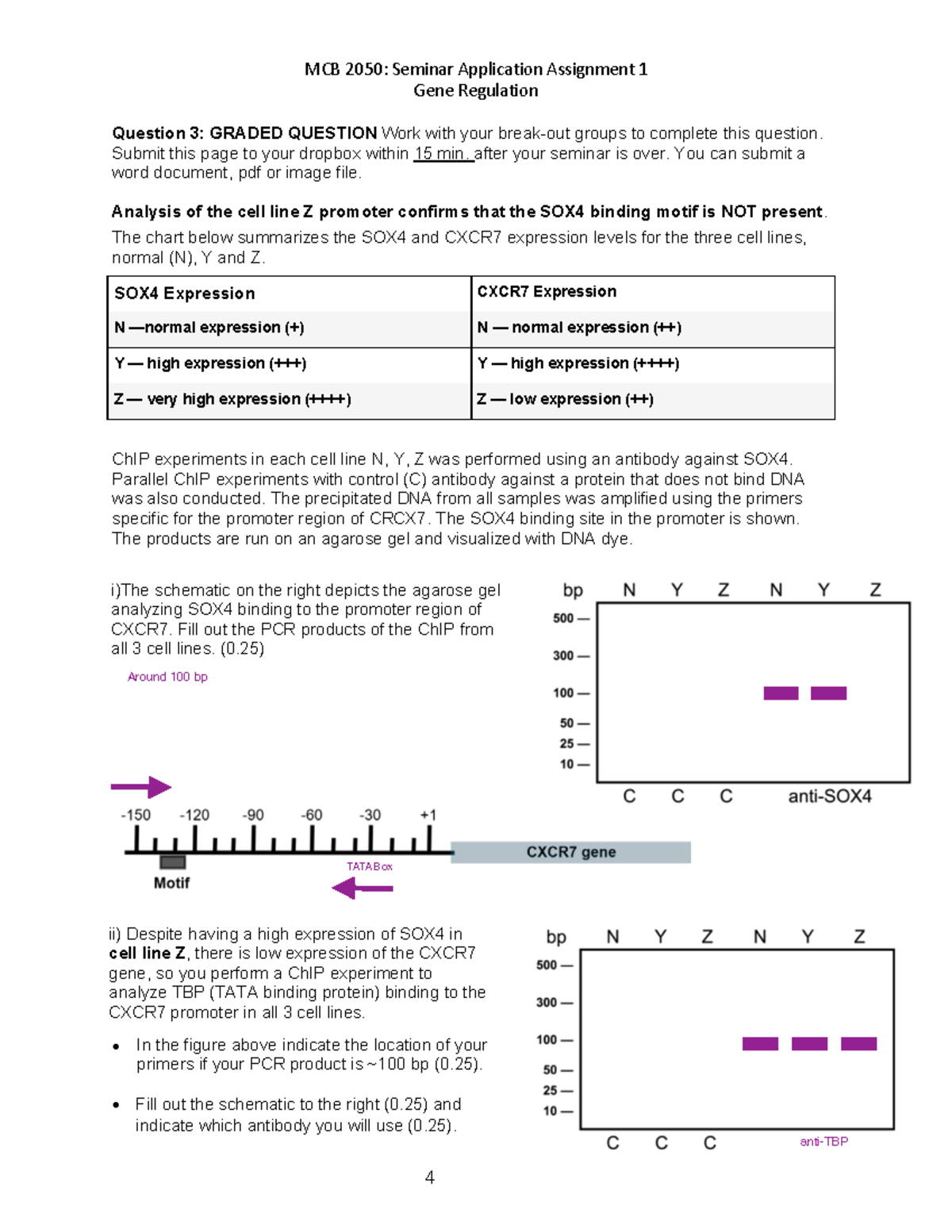 MCB 2050: Seminar Application Assignment 1 - Gene Regulation Analysis ...