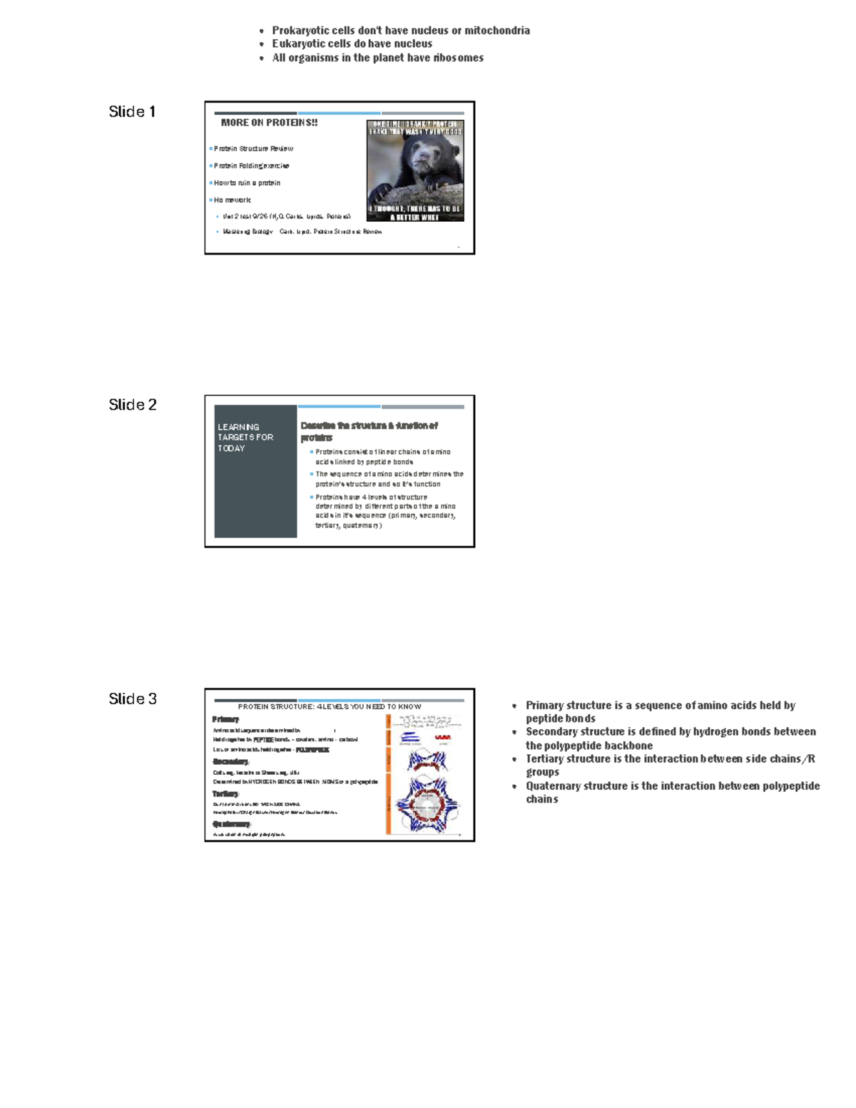 Biology 101: Protein Structure & Function Overview (09.22 - 23.25 ...