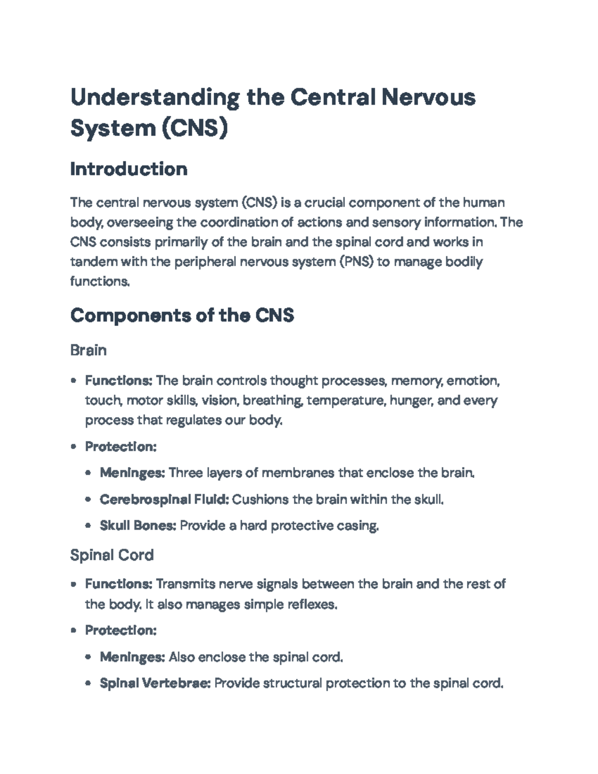 Understanding the Central Nervous System (CNS): Components and ...