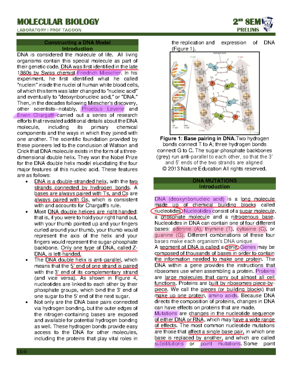 MOL BIO LAB Lesson 3-5: Summary of DNA Structure & Mutation - Studocu
