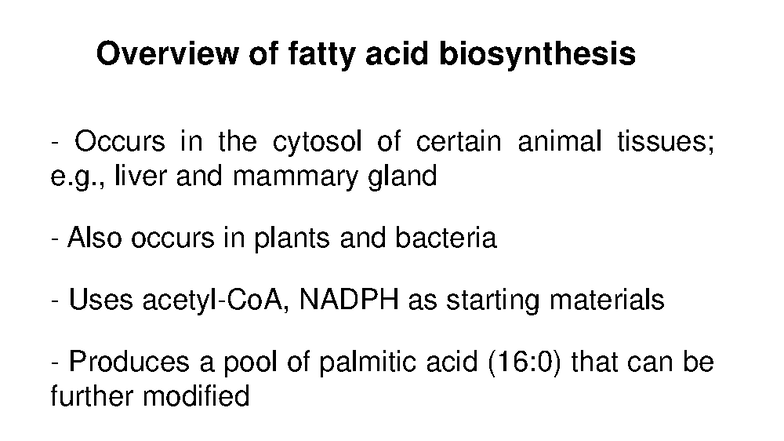 Fatty Acid Synthesis Overview - Biochemistry 101 - Studocu