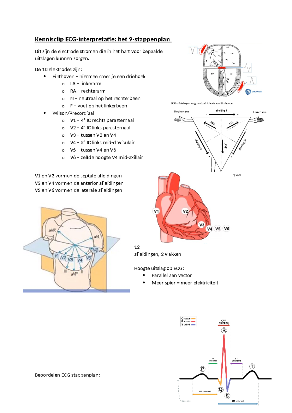 Kennisclip ECG Interpretatie: 9-Stappenplan Samenvatting Blok Paars ...