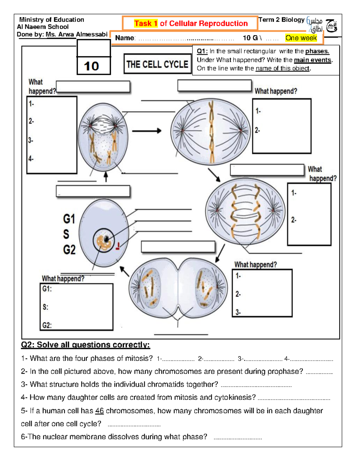 Term 2 Biology Task 1: Cell Cycle Notes and Mitosis Phases - Studocu
