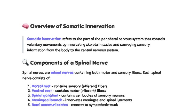 L2 Somatic Innervation - 🧠 Overview of Somatic Innervation Somatic ...