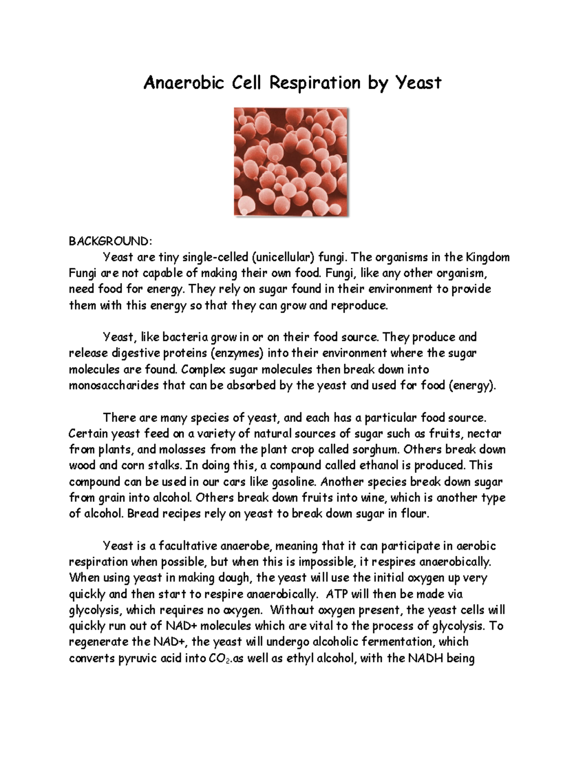 Yeast Fermentation Lab: Exploring Anaerobic Respiration in Yeast - Studocu