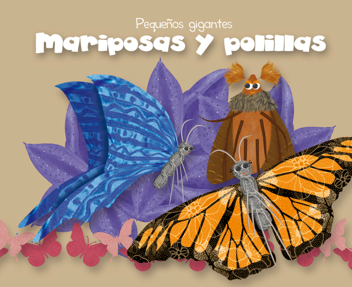 Estudio sobre Mariposas y Polillas: Descubriendo sus Atributos - Studocu