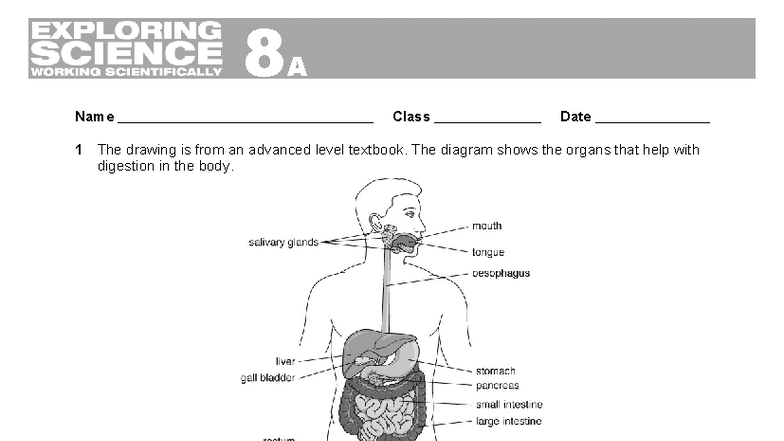 8H End of Unit Test: Digestion & Nutrition Insights - Studocu