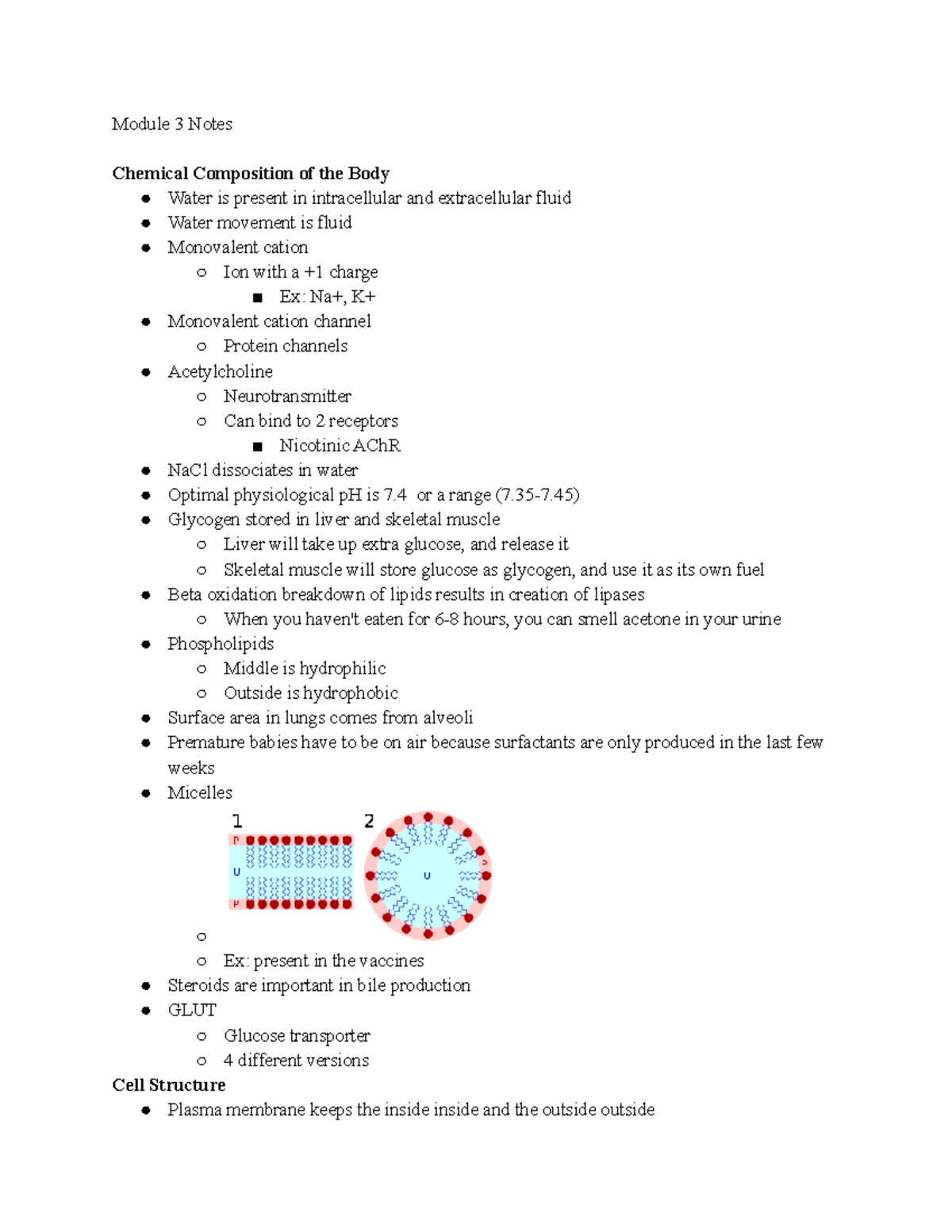 Module 3 Notes - Module 3 Notes Chemical Composition of the Body Water ...