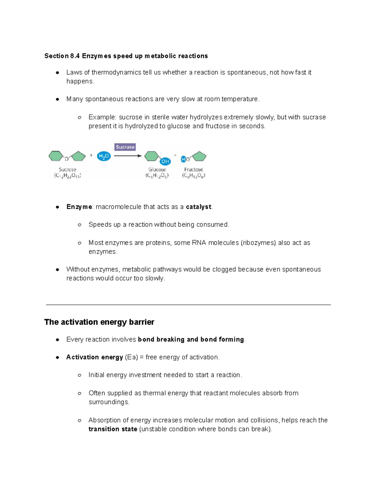 Chapter 8.4: Enzymes and Their Role in Metabolic Reactions - Studocu