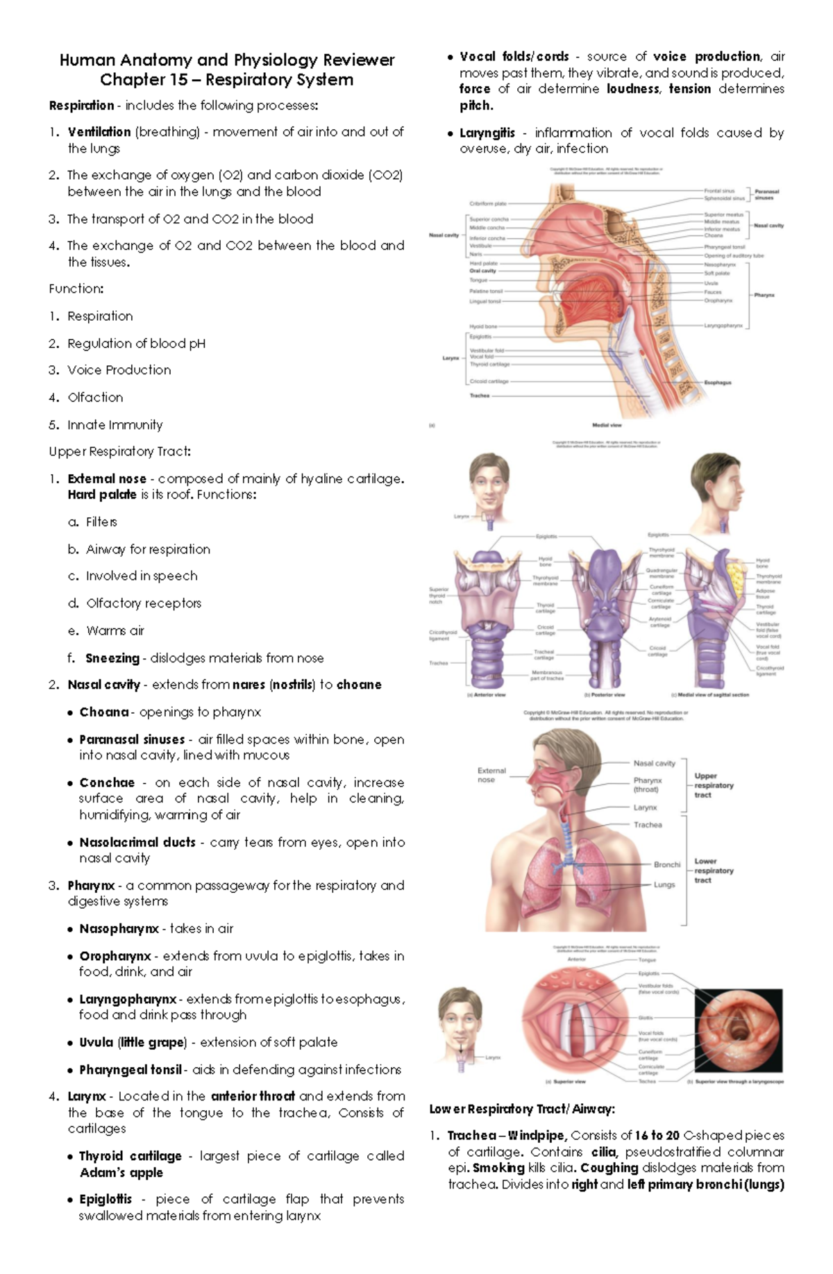 Transes U15 Respiratory System - Human Anatomy and Physiology Reviewer ...