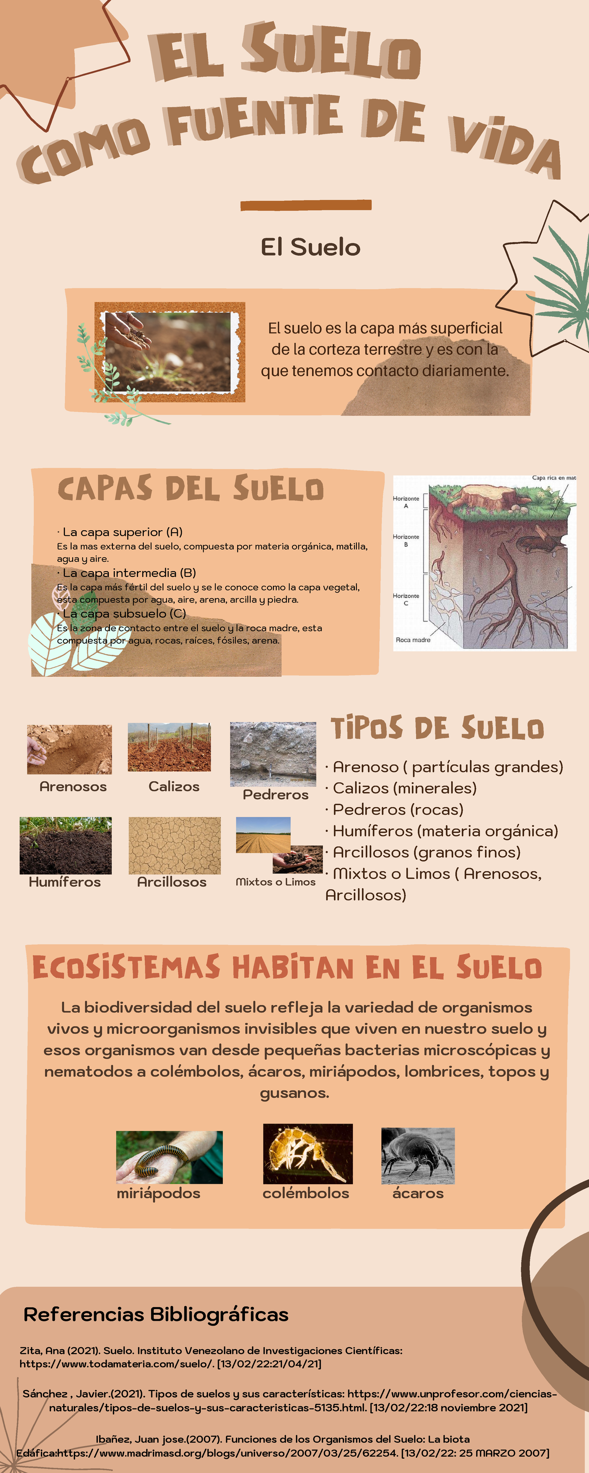 3 Capas De Suelo Suelo Superficial Subsuelo Lecho Rocoso