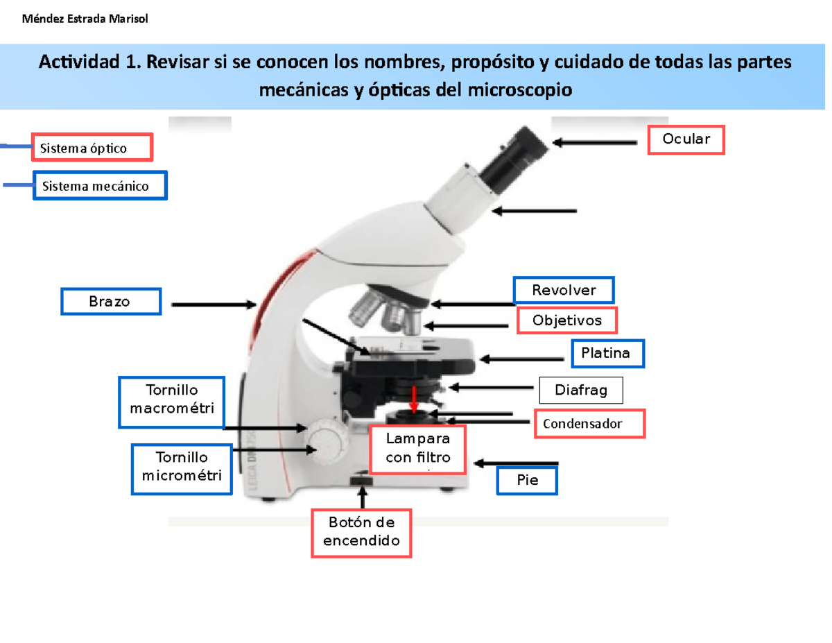 Partes Del Microscopio Y Objetivos