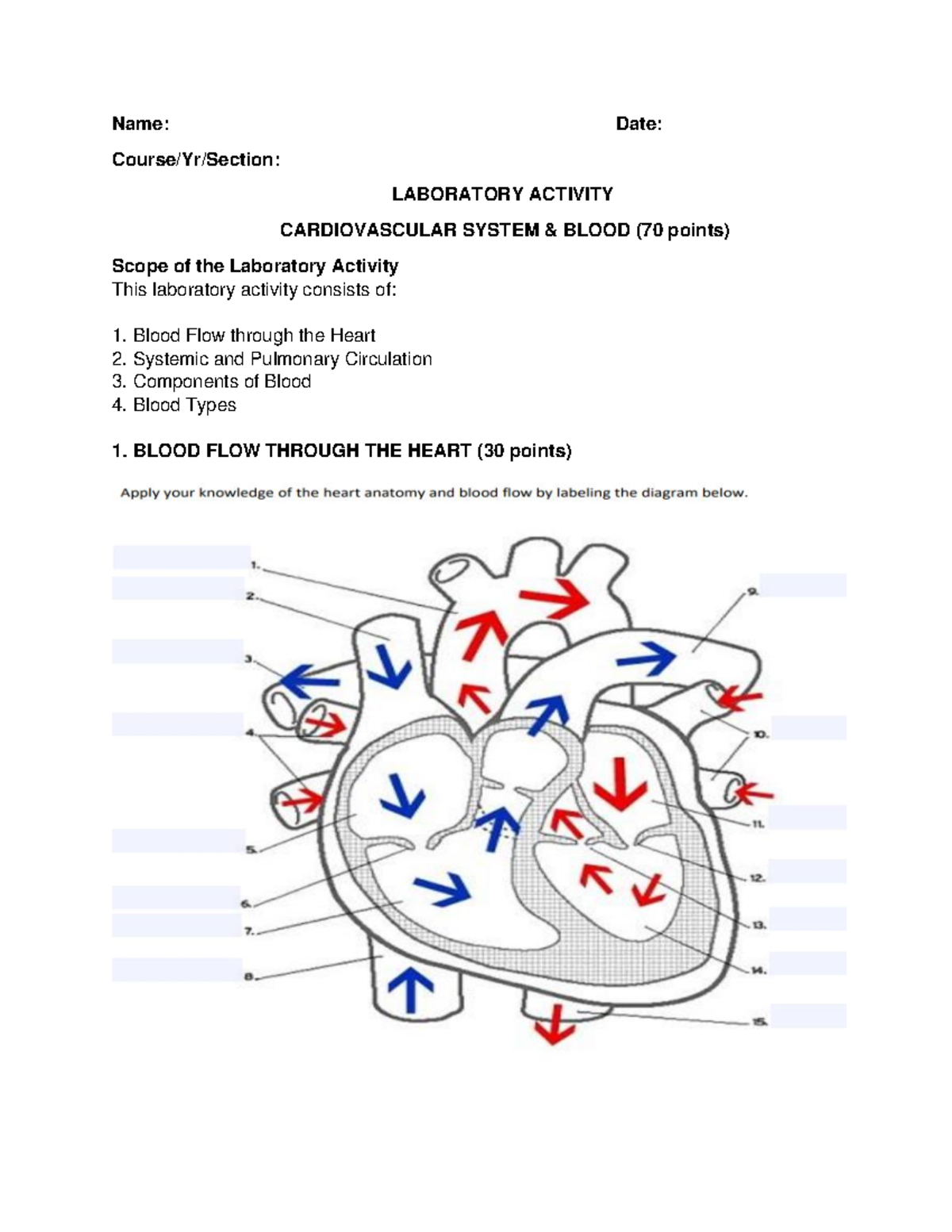 ANPH 111 Lab Activity: Cardiovascular System & Blood Analysis - Studocu
