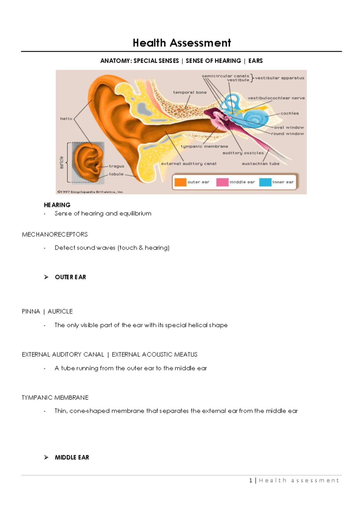 Health Assessment: Anatomy of Special Senses (Hearing & Vision) - Studocu