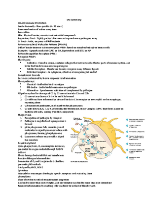 Introduction to Acute Kidney Injury - Stop DAMN if AKI Diuretics ACE ...
