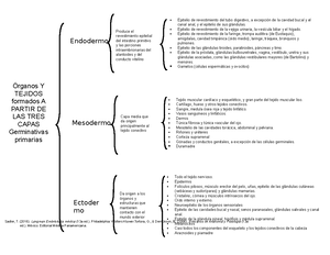 Episiotomia, Episiorrafia Y Grados DE Desgarro - utpl.edu • info@utpl ...