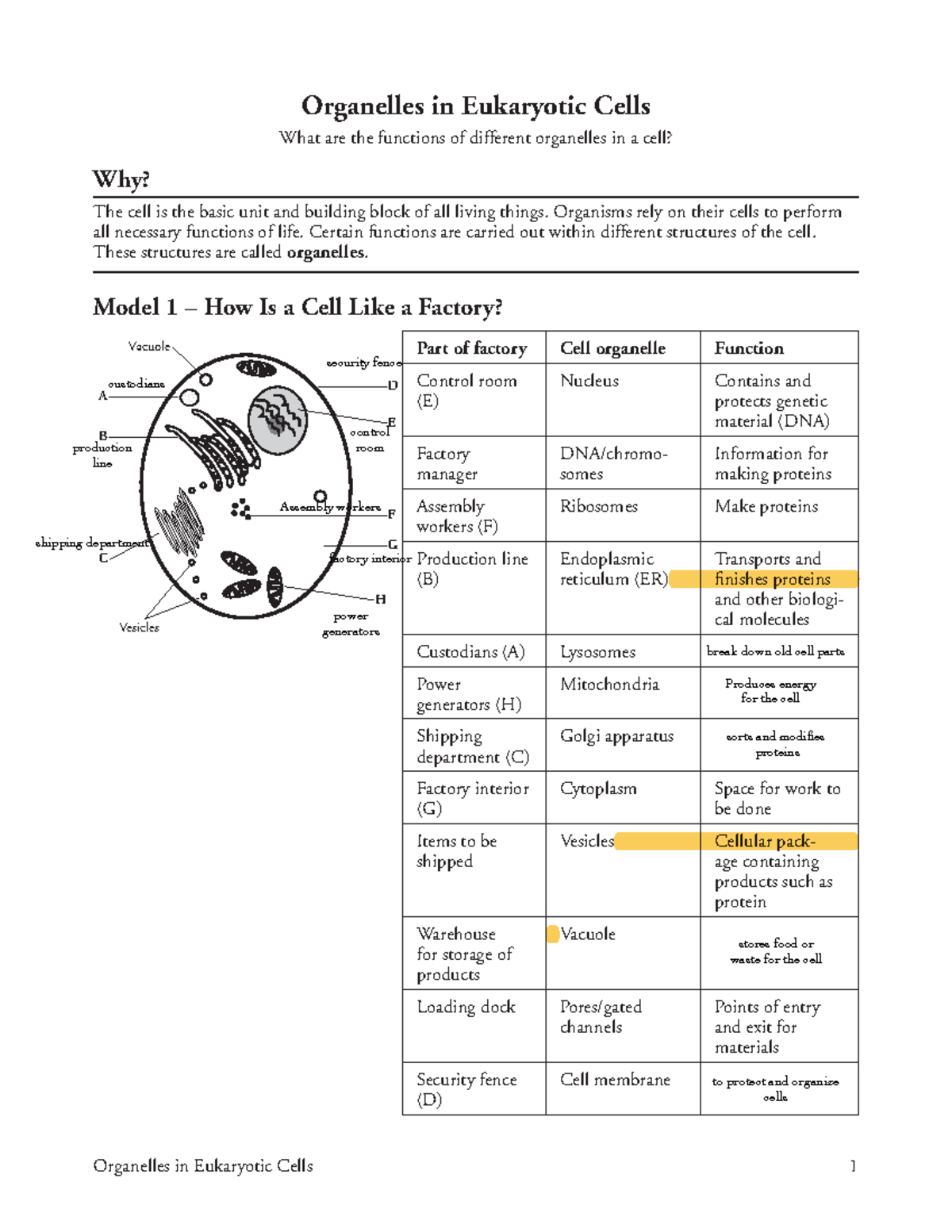 Eukaryotic Cell Parts And Functions