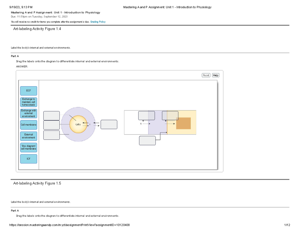 Mastering A & P Assignment (Unit 1): Intro to Physiology Study Guide ...