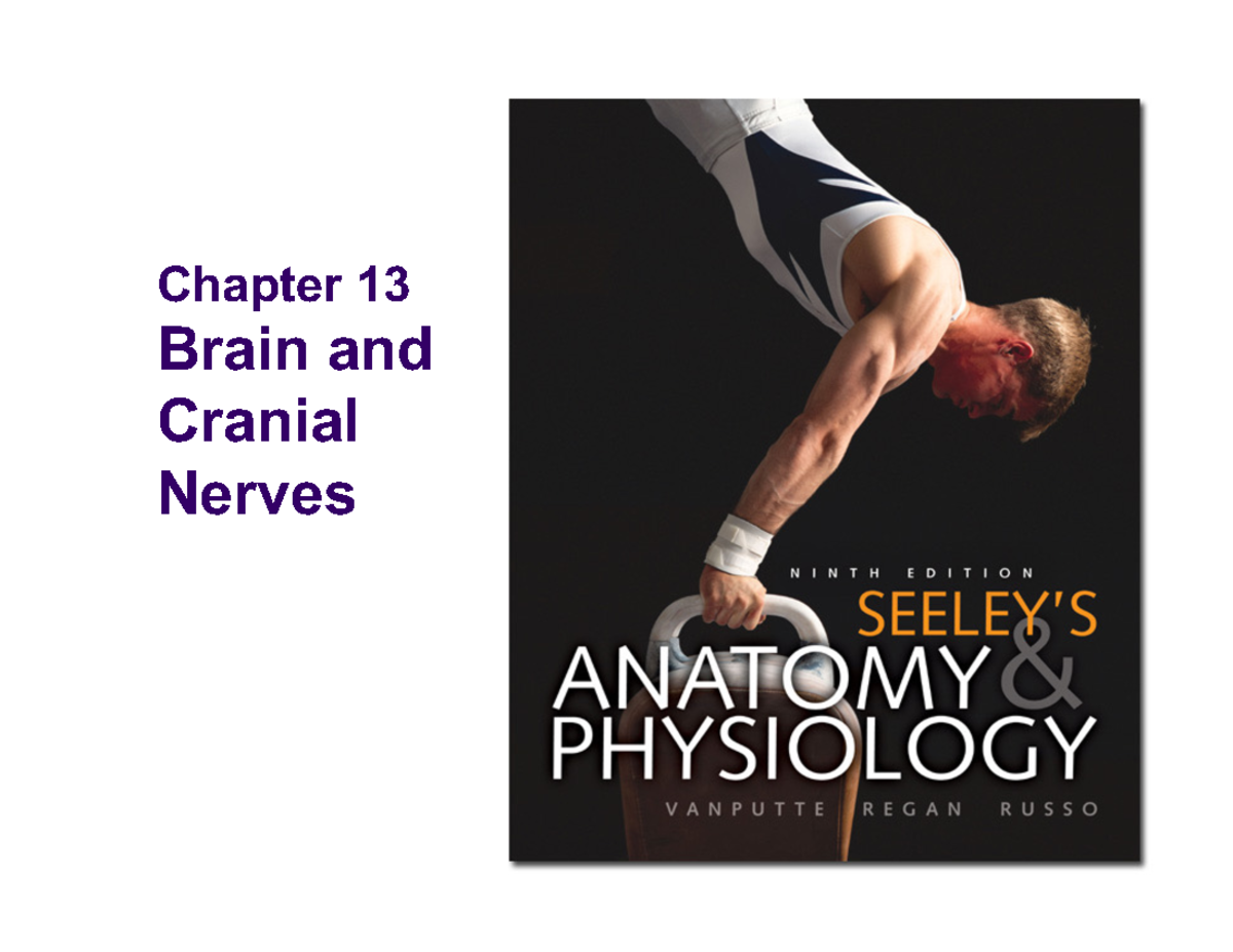 Ch 13 - Chp. 13 PP - Chapter 13 Brain and Cranial Nerves 3 - 1 Brain ...