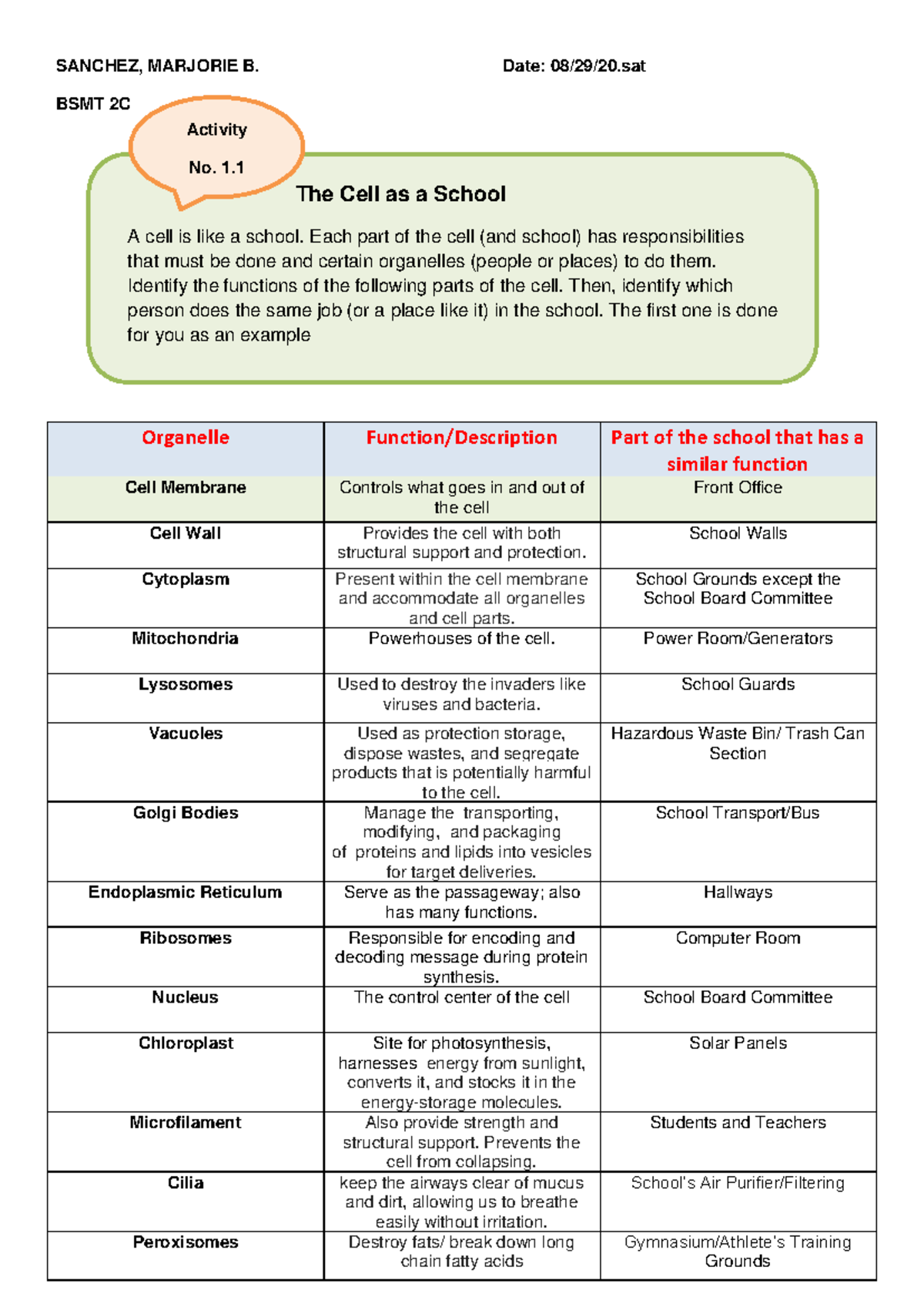 BSMT 2C Activity 1.1: The Cell as a School Analogy and Functions - Studocu