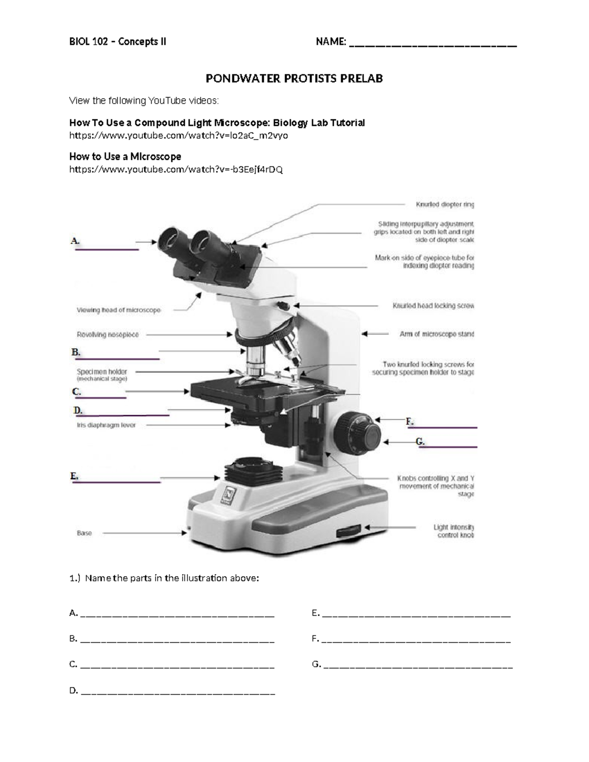Pondwater Protists Prelab for BIOL 102: Microscope Use & Identification ...