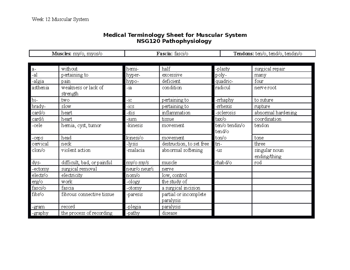 NSG120 Medical Terminology Overview: Muscular System (2022) - Studocu