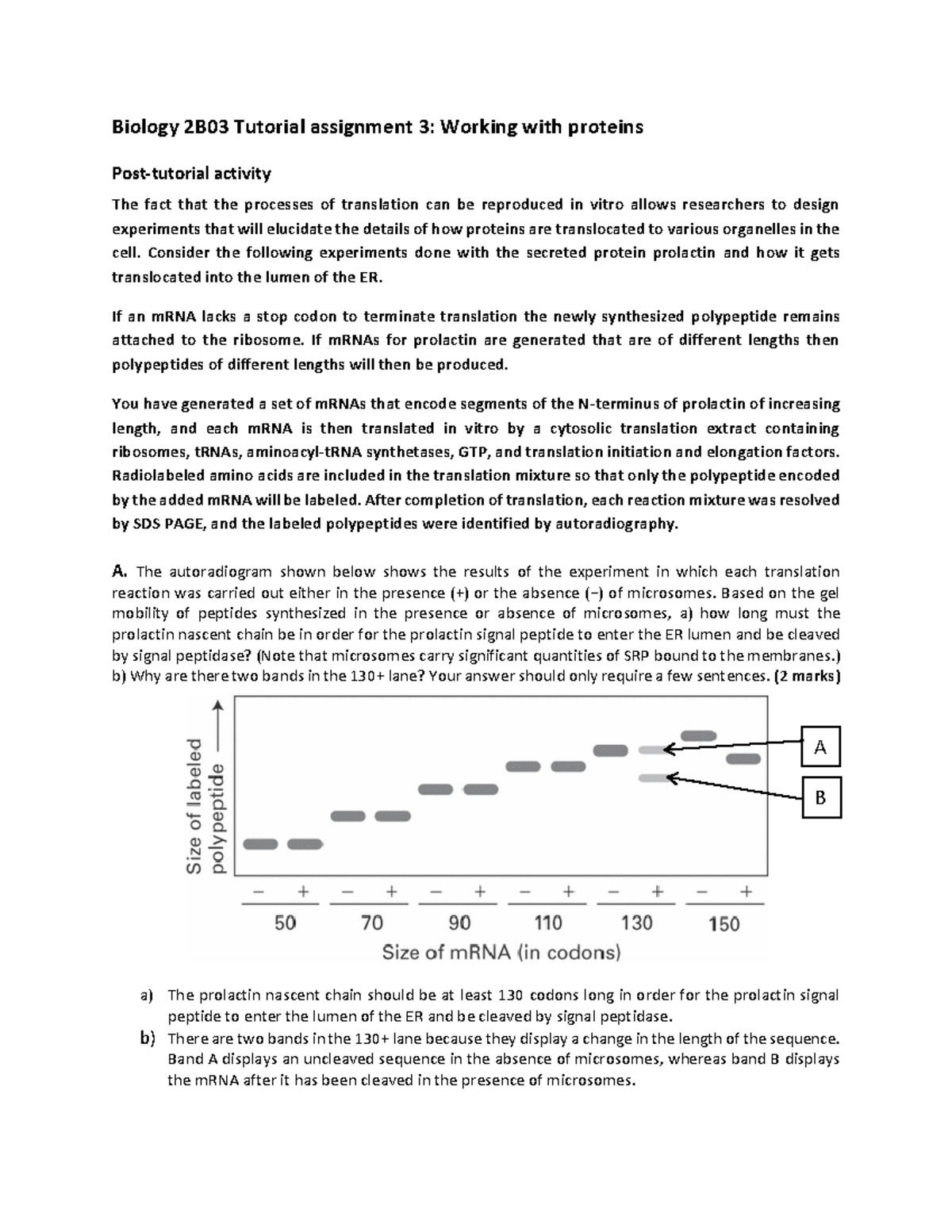 Bio 2B03 Assignment 3 - Working with proteins - Biology 2B03 Tutorial ...