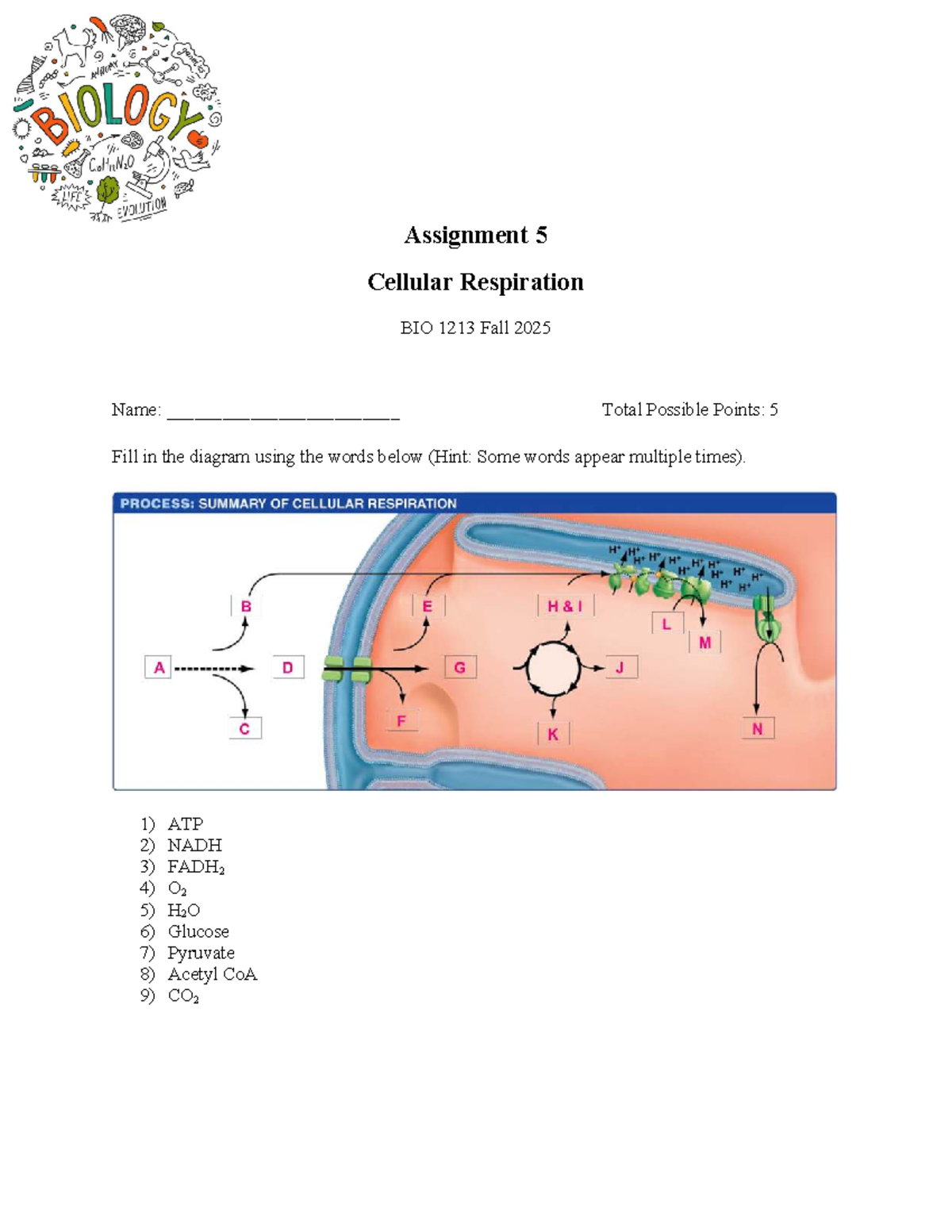 Assignment 6 BIO1213 Fall 2025 - 1221 - Assignment 5 Cellular ...