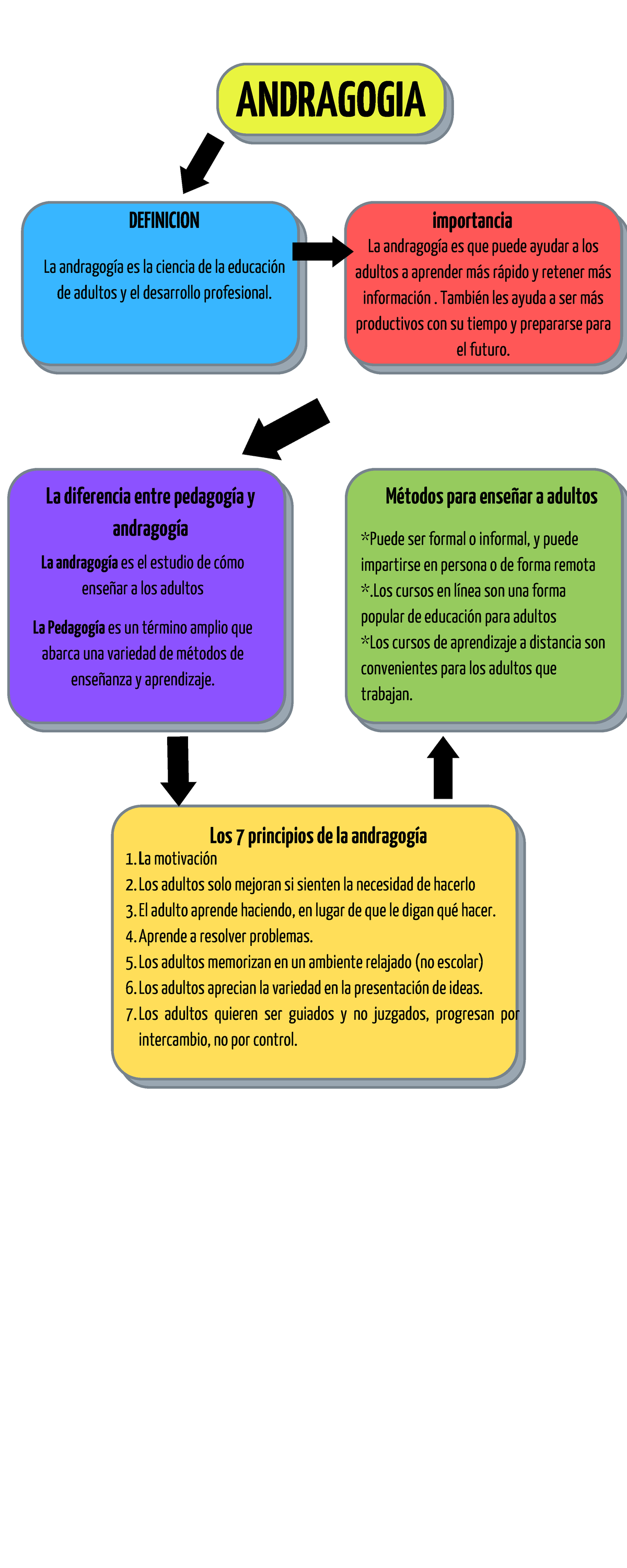 Principios Del Aprendizaje De Adultos