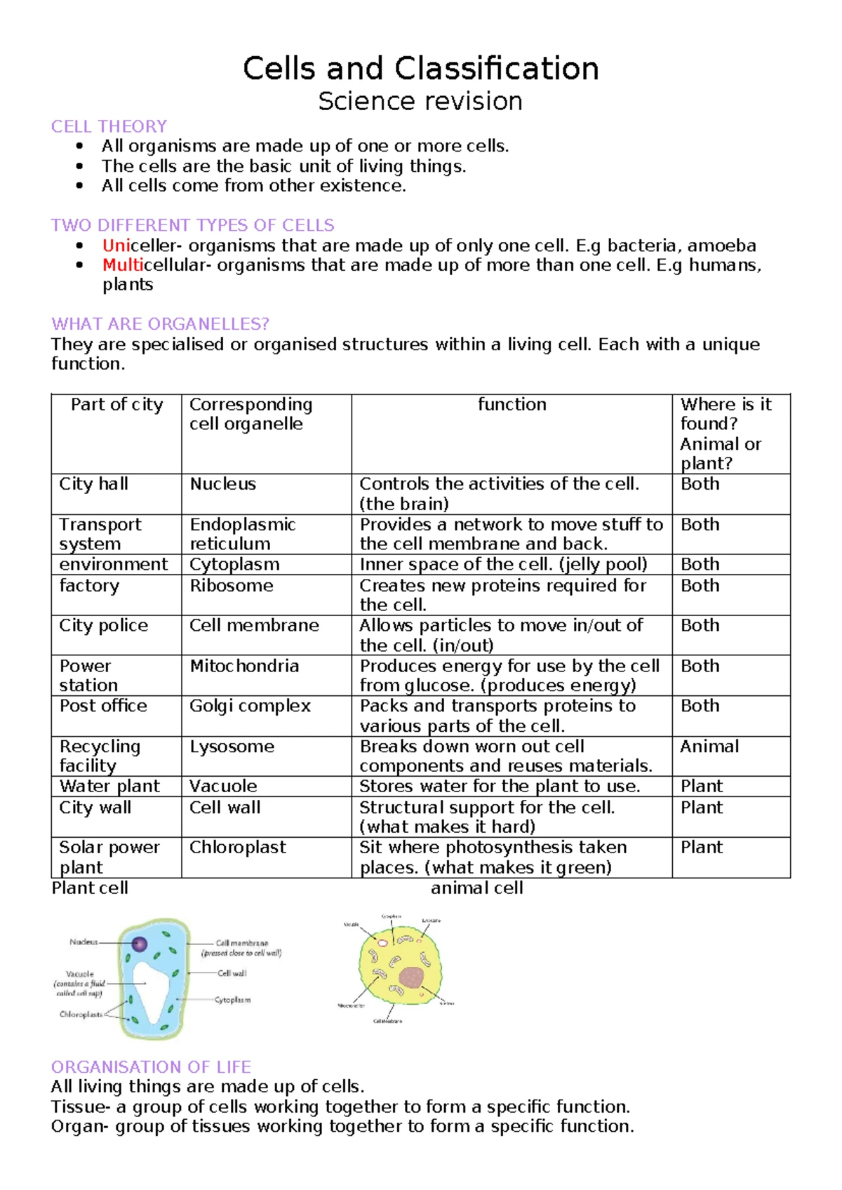Cells and Classification: Understanding Cell Theory and Organelles ...
