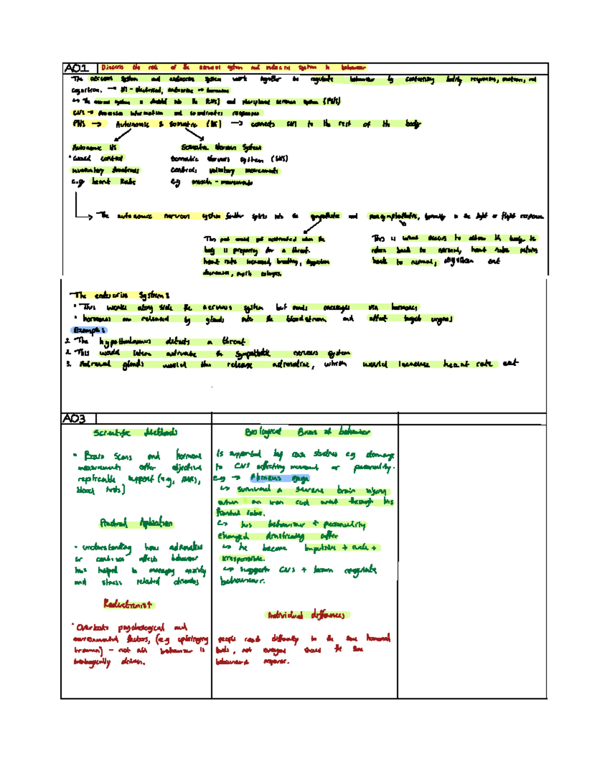 Biopsychology Paper 2: Understanding CNS, PNS, and Neurotransmission ...