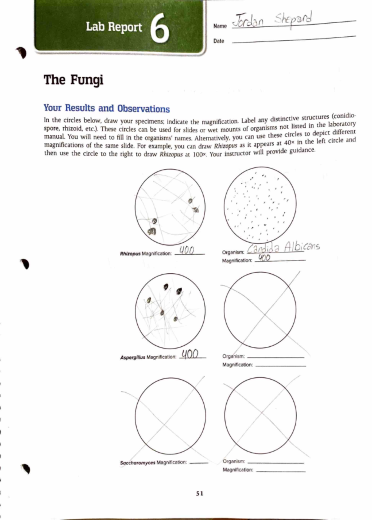 Lab 6 - Fungi Identification and Analysis Report - Studocu