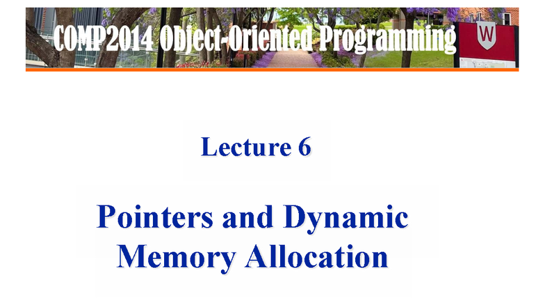 OOP06 Lecture 6: Pointers & Dynamic Memory Allocation Concepts - Studocu
