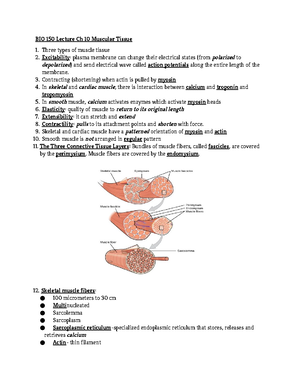Anatomy and Physiology 2 - Chapter 12 Nervous System Review Notes ...