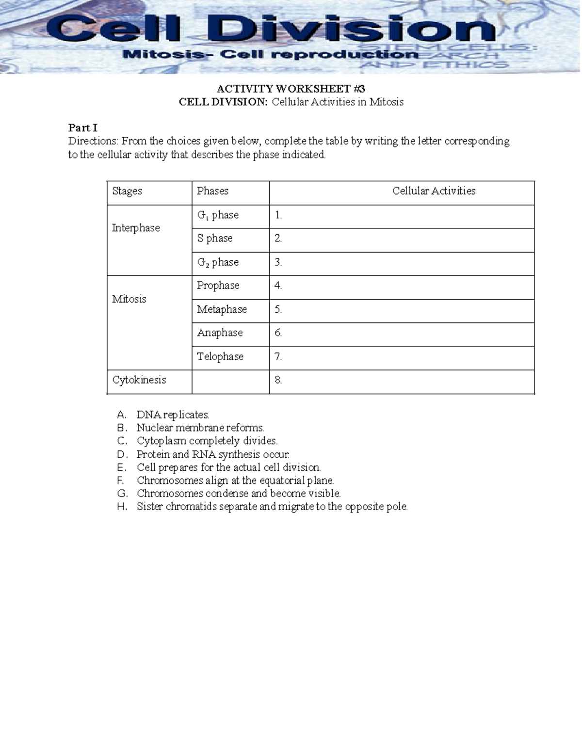 Activity Worksheet in Mitosis - ACTIVITY WORKSHEET CELL DIVISION ...