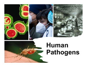 Human-Pathogen Interactions & Microbiome Research Overview (BIO 101 ...