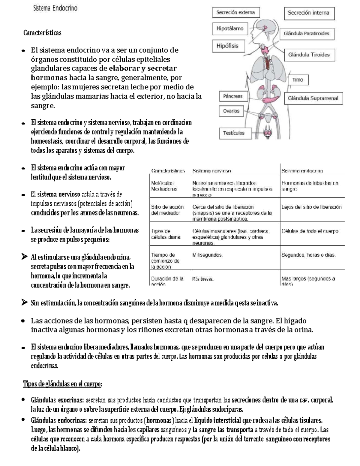 Sistema endocrino - Resumen Estructura Y Funcion Del Cuerpo Humano ...