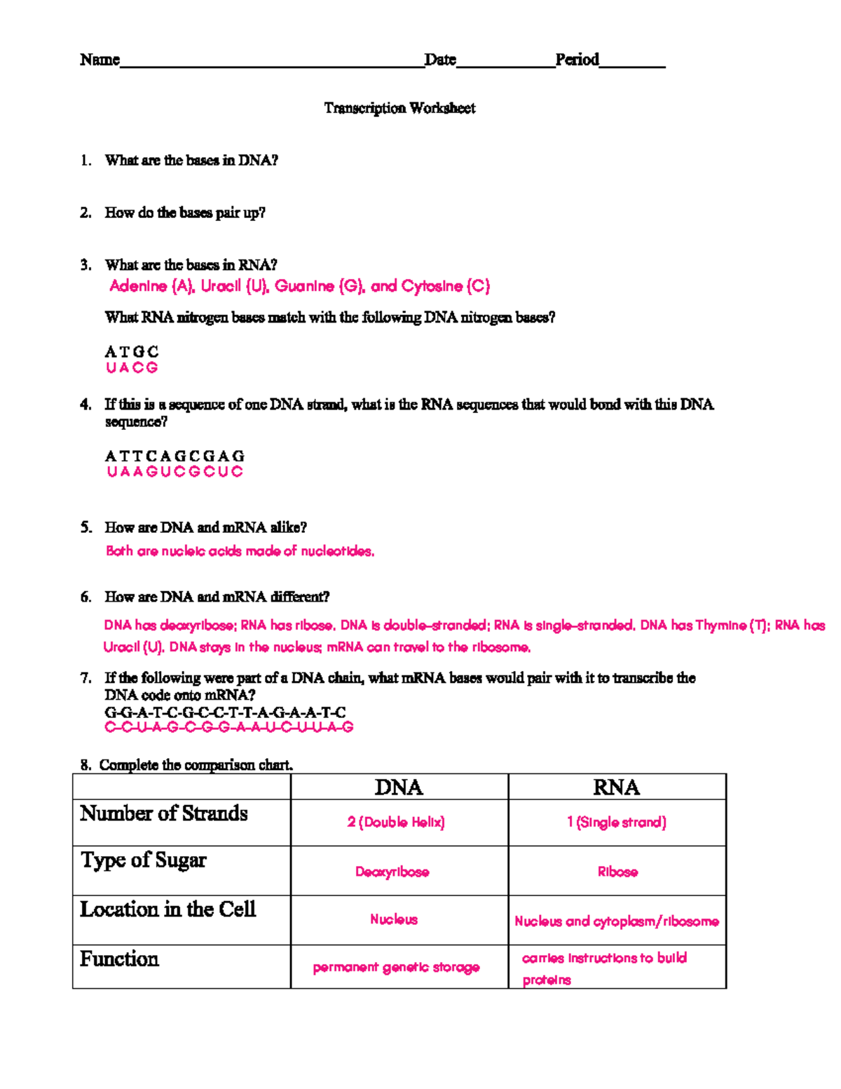 Transcription Worksheet: Understanding DNA & RNA Structure - Studocu