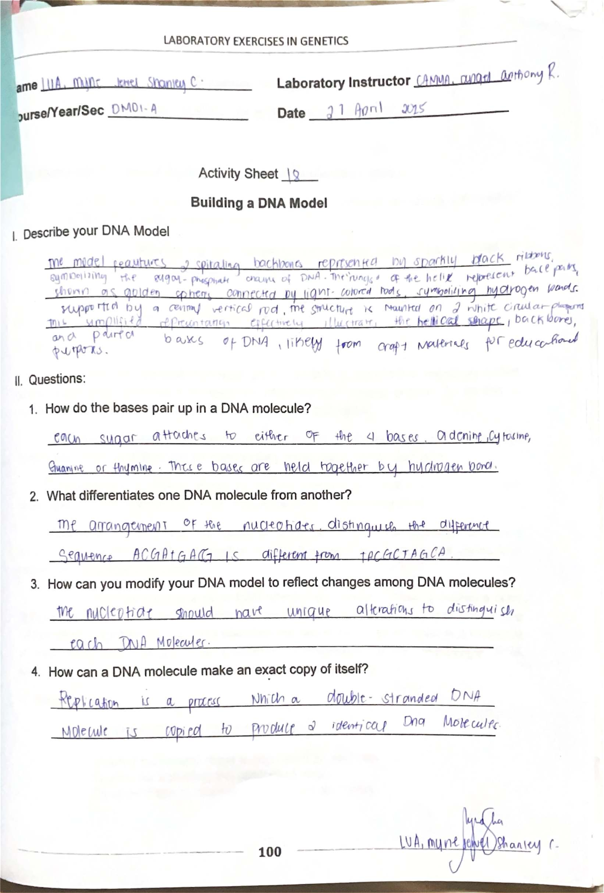LAB 1UA: DNA Model Building & Genetics Exercises - Studocu