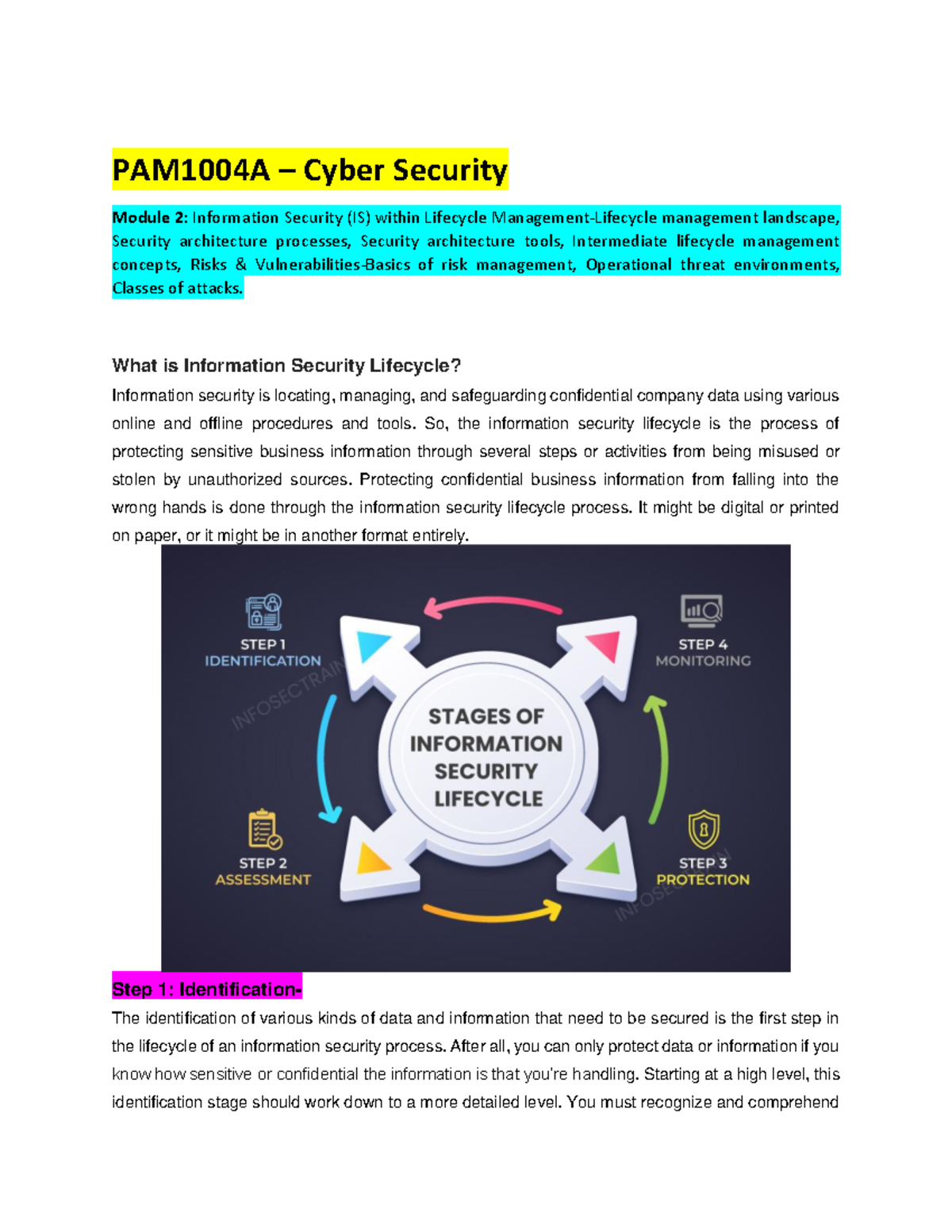 PAM1004A Cyber Security Module 2 - PAM1004A – Cyber Security Module 2 ...