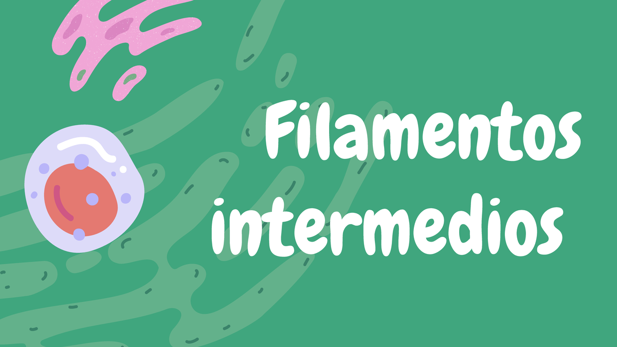 Filamentos intermedios - Filamentos intermedios Temario QUE ES UN ...
