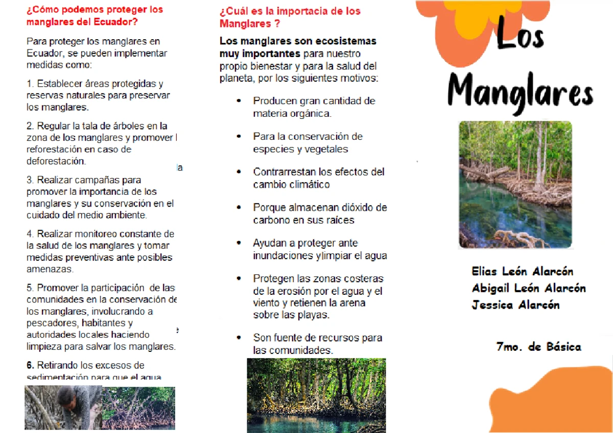 Informe del Experimento de Francesco Redi: Biología y Resultados - Studocu