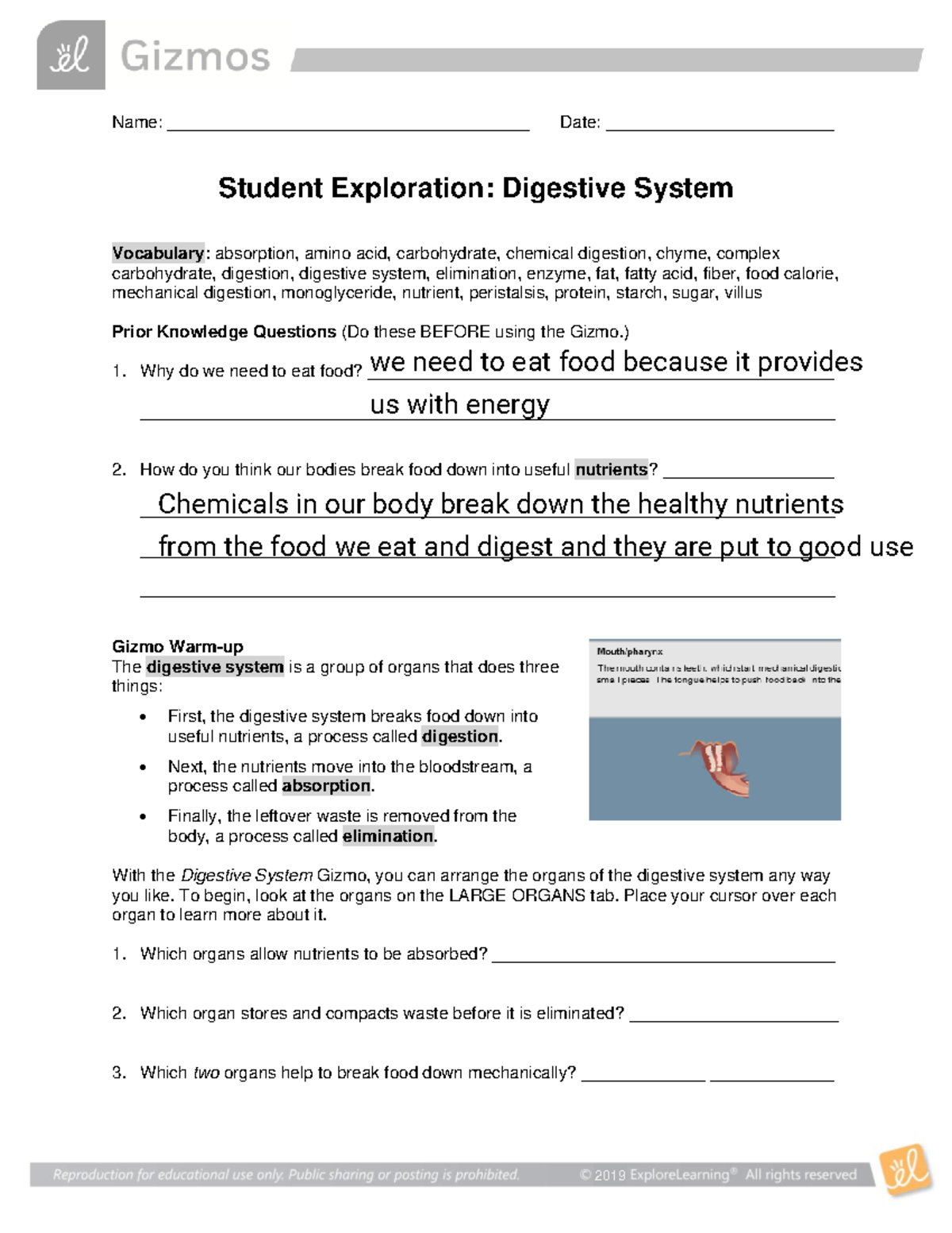 Gizmo Digestive System Exploration - Brady Copeland - Study Notes - Studocu