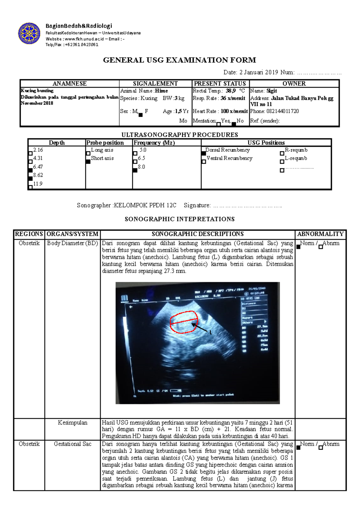 Laporan USG Kebuntingan Kucing: Analisis dan Interpretasi 12C - Studocu