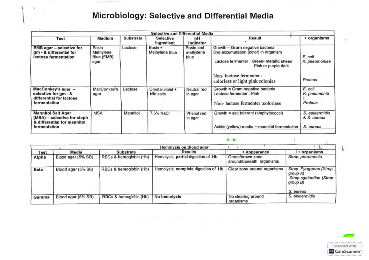 Biochemical tests on bacteria - Microbiology: Selective and ...