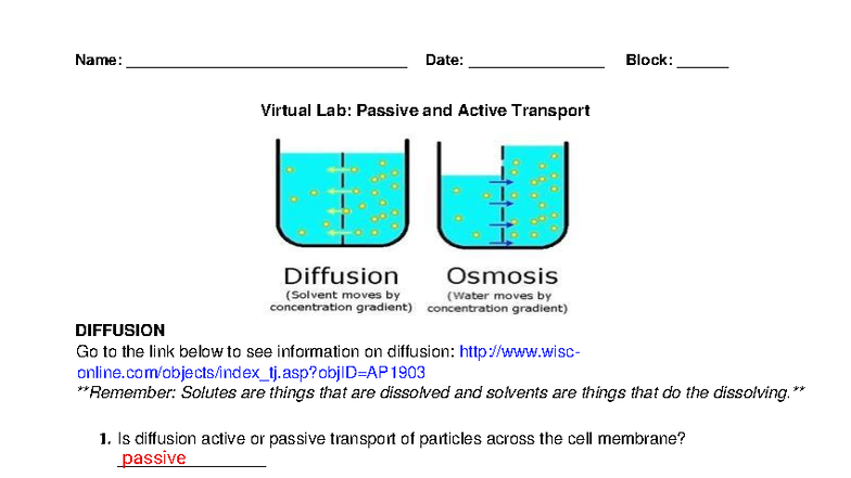 Virtual Lab: Passive & Active Transport - Diffusion & Osmosis - Studocu