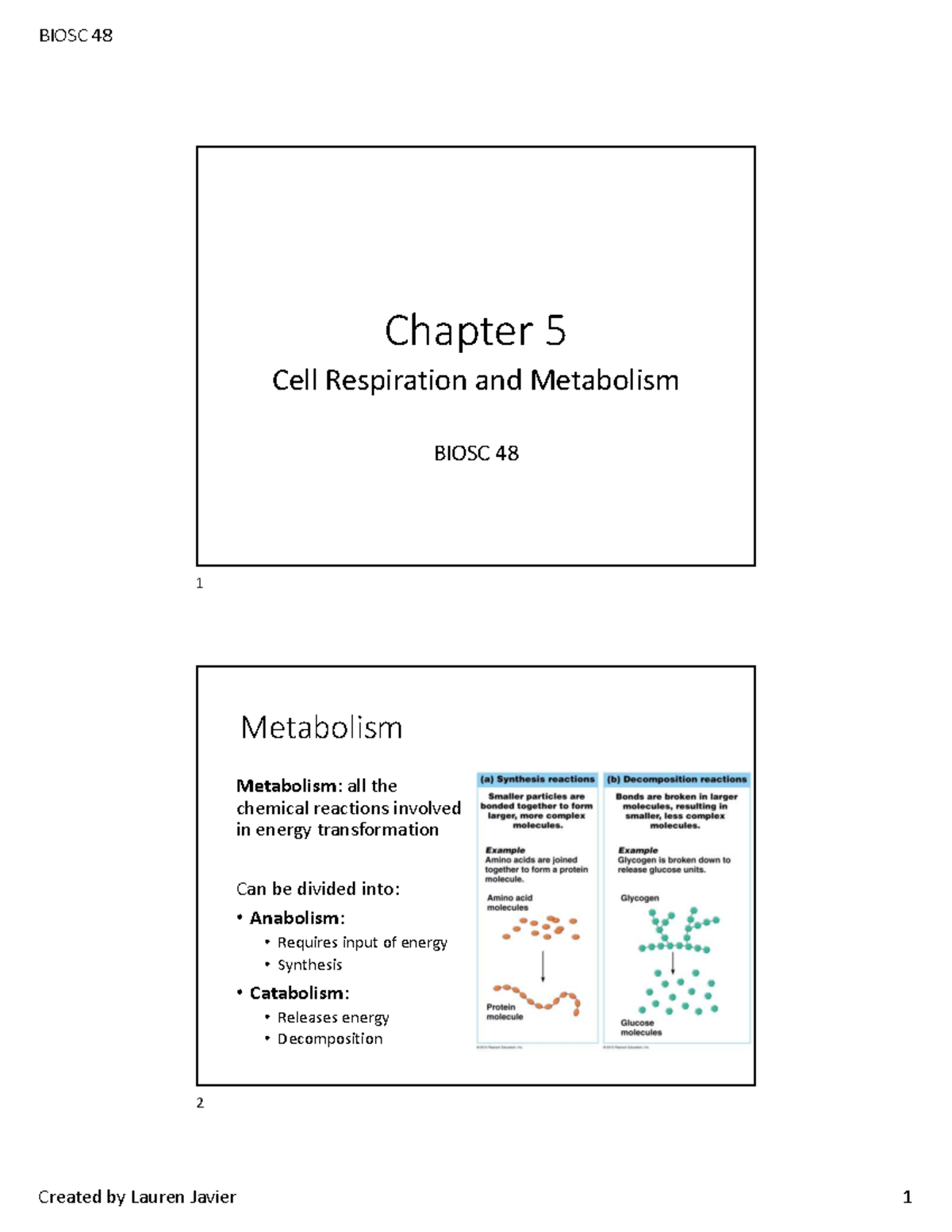 BIOSC 48 Chapter 5: Overview of Cell Respiration & Metabolism - Studocu