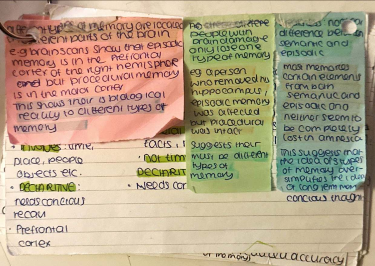 GCSE AQA Psychology Paper 1: Memory Study Notes - Studocu