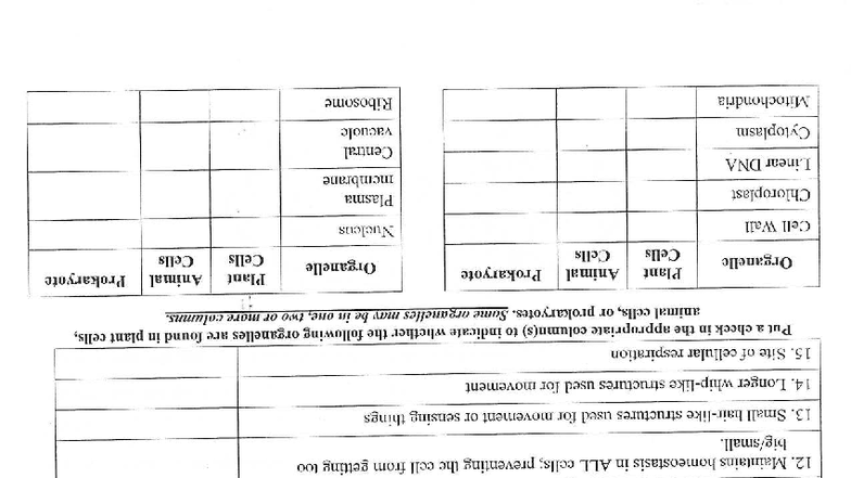 Cells Live Class Study Guide: Cell Organelles for Unit 3 Test - Studocu
