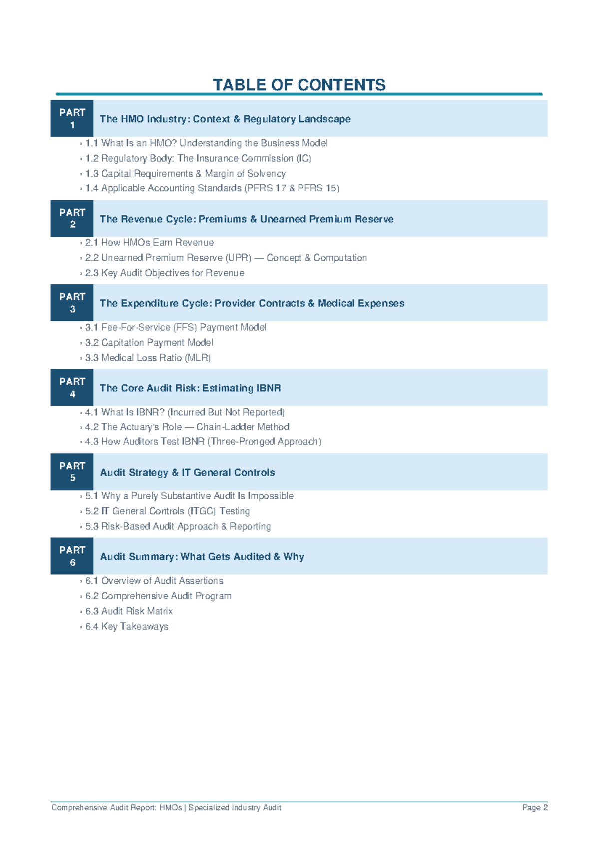 Comprehensive Audit Report: HMOs (HMO 101) - Key Insights & Strategies ...